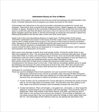 Informative Essay - Writing Guide, Topics & Examples